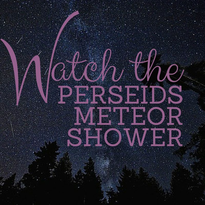 Perseids Meteor Shower